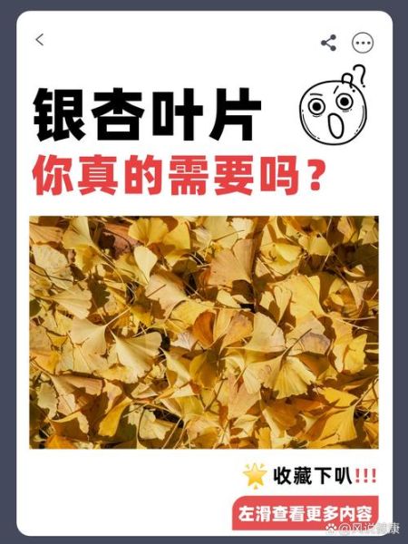 银杏叶提取物能长期吃吗_银杏的副作用有哪些-第3张图片-山城妙识