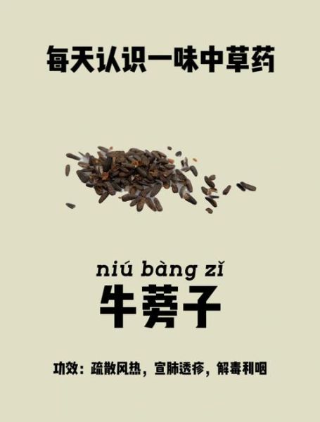 牛蒡叶的功效与作用_牛蒡叶怎么吃效果最好-第3张图片-山城妙识