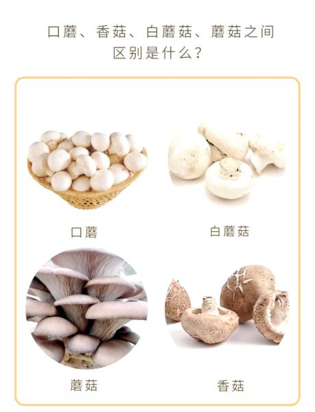 口蘑多少钱一斤_口蘑价格为什么波动大-第1张图片-山城妙识