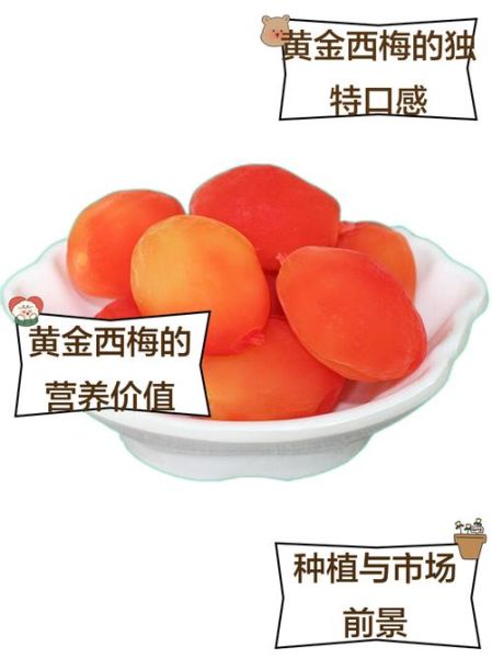 金西梅的功效与作用_金西梅适合什么人吃-第1张图片-山城妙识