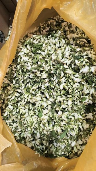 干槐花怎么保存不变色_干槐花的做法大全窍门-第2张图片-山城妙识