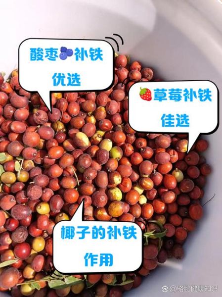 补铁补血的水果有哪些_吃什么水果补血最快-第3张图片-山城妙识