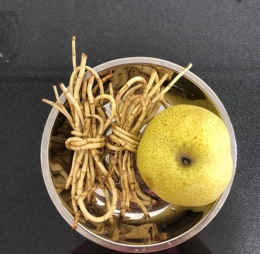 鱼腥草怎么煮才止咳_鱼腥草止咳的正确做法-第1张图片-山城妙识