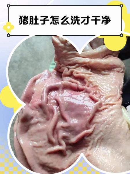 猪肚子怎么洗_猪肚子清洗方法-第2张图片-山城妙识 猪肚子怎么洗_猪肚子清洗方法-第2张图片-山城妙识