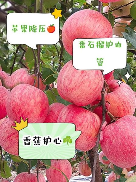 降血压最好的水果有哪些_高血压必吃的水果排名-第3张图片-山城妙识 降血压最好的水果有哪些_高血压必吃的水果排名-第3张图片-山城妙识