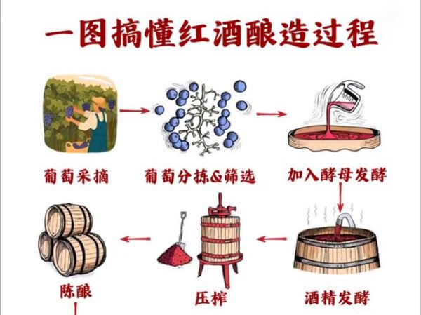 葡萄酒怎么做最好_自酿葡萄酒的正确步骤-第2张图片-山城妙识 葡萄酒怎么做最好_自酿葡萄酒的正确步骤-第2张图片-山城妙识