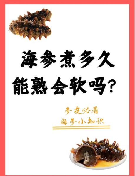 鲜海参煮多长时间能熟_鲜海参怎么煮不缩水-第1张图片-山城妙识 鲜海参煮多长时间能熟_鲜海参怎么煮不缩水-第1张图片-山城妙识