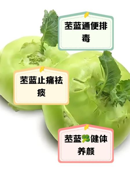 苤蓝怎么做好吃_苤蓝的营养价值有哪些-第2张图片-山城妙识 苤蓝怎么做好吃_苤蓝的营养价值有哪些-第2张图片-山城妙识