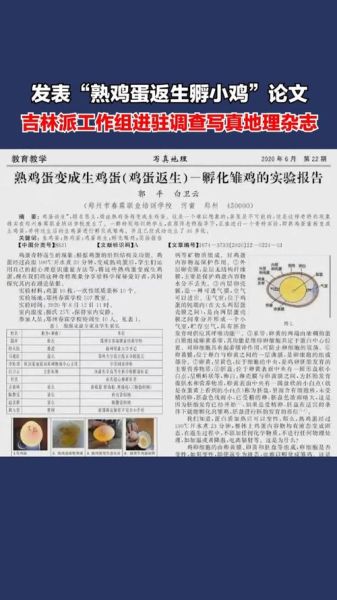熟鸡蛋返生孵小鸡是真的吗_科学原理解析-第1张图片-山城妙识