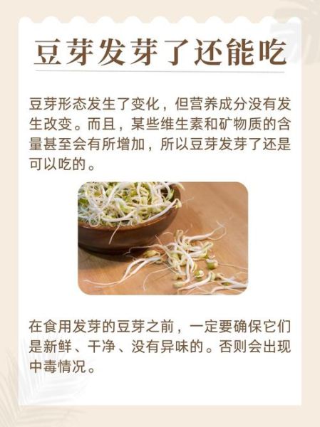 有毒绿豆芽怎么辨别_绿豆芽中毒症状有哪些-第3张图片-山城妙识