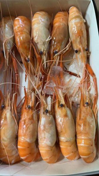 金钱虾怎么做好吃_金钱虾营养价值高吗-第3张图片-山城妙识