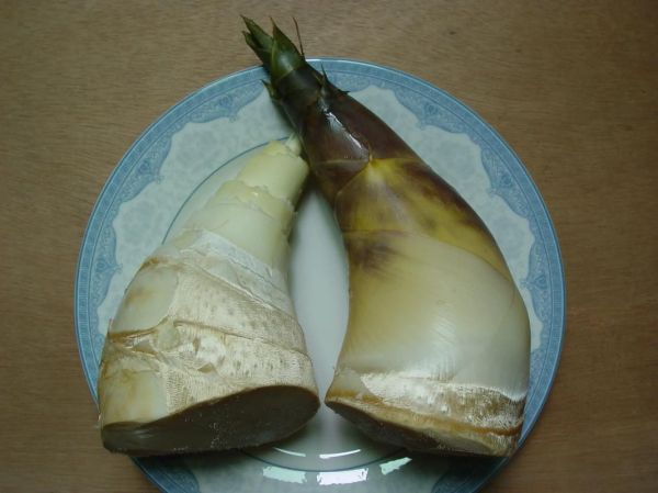 马蹄笋怎么保存_马蹄笋和竹笋区别-第1张图片-山城妙识