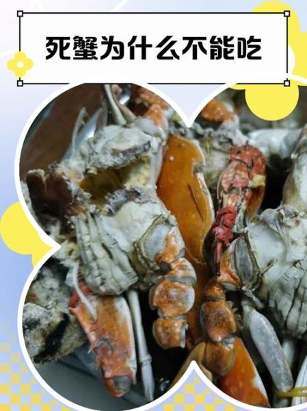螃蟹刚死了能不能吃了_死了的螃蟹还能吃吗-第3张图片-山城妙识