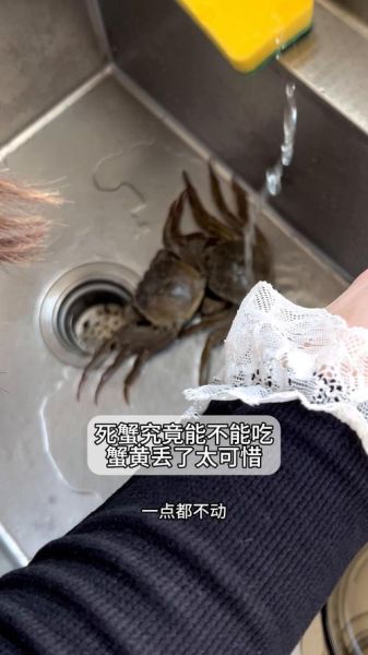 螃蟹刚死了能不能吃了_死了的螃蟹还能吃吗-第2张图片-山城妙识