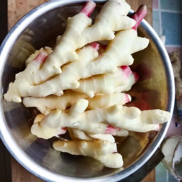 鲜姜咸菜怎么腌制_鲜姜咸菜腌制方法-第1张图片-山城妙识 鲜姜咸菜怎么腌制_鲜姜咸菜腌制方法-第1张图片-山城妙识