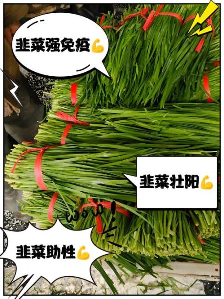 韭菜壮阳是真的吗_男人吃韭菜有什么功效-第1张图片-山城妙识 韭菜壮阳是真的吗_男人吃韭菜有什么功效-第1张图片-山城妙识