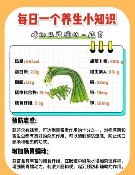 蒜苔的功效与作用_蒜苔有哪些营养价值-第1张图片-山城妙识 蒜苔的功效与作用_蒜苔有哪些营养价值-第1张图片-山城妙识