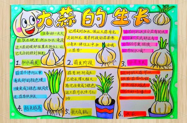 大蒜多久发芽_大蒜生长周期多长-第3张图片-山城妙识 大蒜多久发芽_大蒜生长周期多长-第3张图片-山城妙识