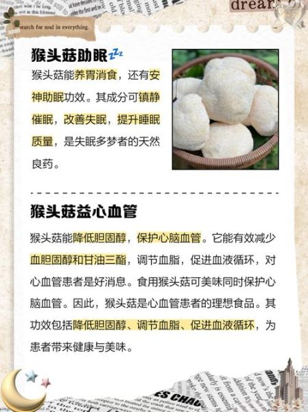 野生猴头菇怎么处理_新鲜猴头菇怎么清洗-第2张图片-山城妙识