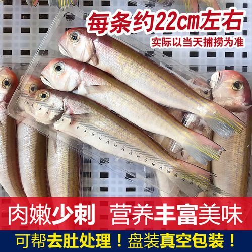 马头鱼是深海鱼吗_马头鱼生活水深多少米-第3张图片-山城妙识 马头鱼是深海鱼吗_马头鱼生活水深多少米-第3张图片-山城妙识