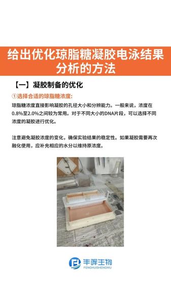 琼脂糖凝胶电泳步骤_琼脂糖凝胶电泳常见问题-第1张图片-山城妙识 琼脂糖凝胶电泳步骤_琼脂糖凝胶电泳常见问题-第1张图片-山城妙识