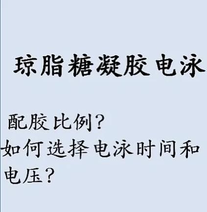 琼脂糖凝胶电泳步骤_琼脂糖凝胶电泳常见问题-第2张图片-山城妙识 琼脂糖凝胶电泳步骤_琼脂糖凝胶电泳常见问题-第2张图片-山城妙识
