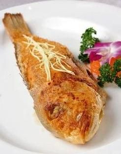 马头鱼是深海鱼吗_马头鱼生活水深多少米-第1张图片-山城妙识 马头鱼是深海鱼吗_马头鱼生活水深多少米-第1张图片-山城妙识