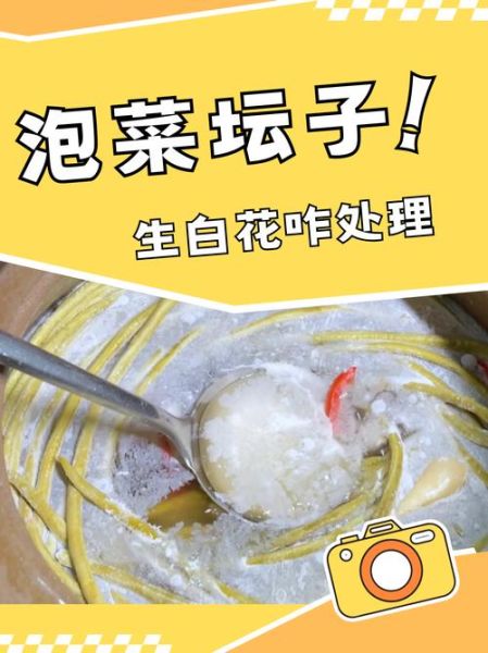 怎样腌酸菜才能不烂_酸菜腌制不烂的方法-第3张图片-山城妙识 怎样腌酸菜才能不烂_酸菜腌制不烂的方法-第3张图片-山城妙识