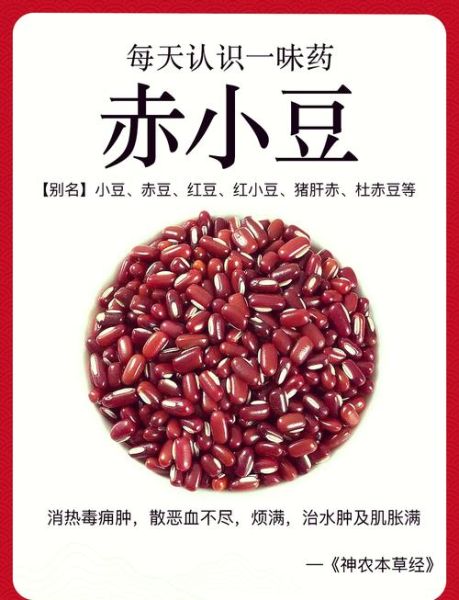 红小豆是红豆吗_红小豆和赤小豆区别-第1张图片-山城妙识