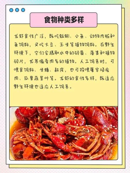 家养龙虾吃什么食物_龙虾饲料怎么选-第1张图片-山城妙识 家养龙虾吃什么食物_龙虾饲料怎么选-第1张图片-山城妙识