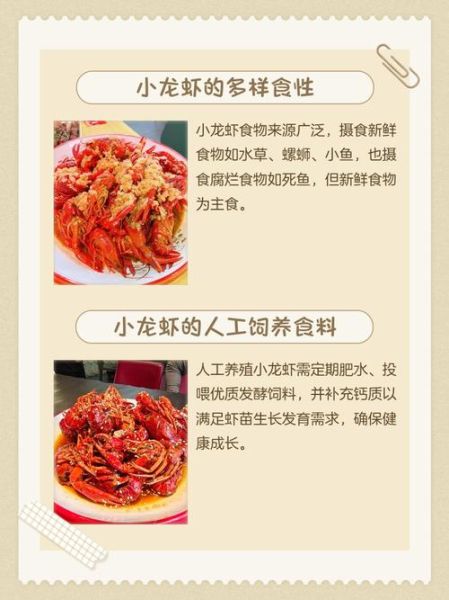 家养龙虾吃什么食物_龙虾饲料怎么选-第2张图片-山城妙识 家养龙虾吃什么食物_龙虾饲料怎么选-第2张图片-山城妙识