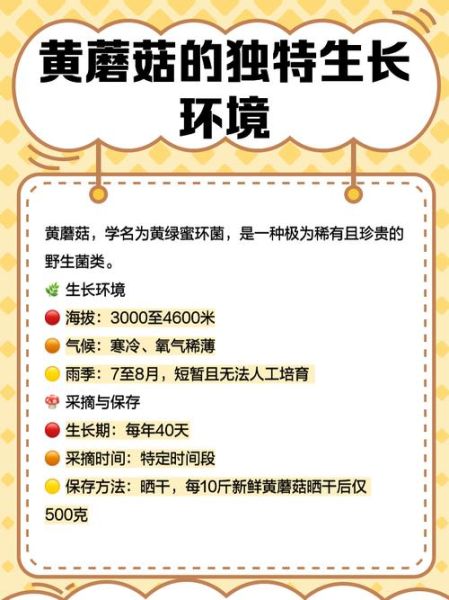 黄丝菌种植技术_黄丝菌怎么种-第2张图片-山城妙识