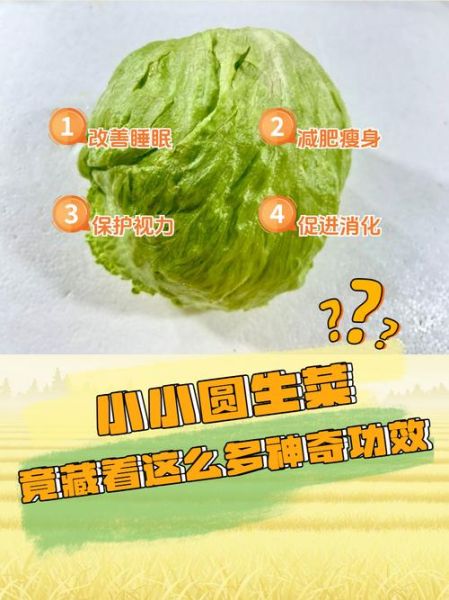 圆白菜可以生吃吗_生吃圆白菜安全吗-第3张图片-山城妙识