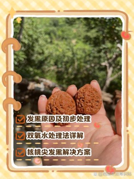 核桃皮把手染黑了怎么快速去除_核桃皮染色怎么洗掉-第1张图片-山城妙识 核桃皮把手染黑了怎么快速去除_核桃皮染色怎么洗掉-第1张图片-山城妙识