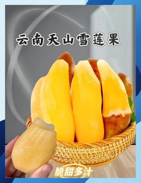 雪莲果几月份成熟上市_雪莲果什么时候吃最好-第3张图片-山城妙识 雪莲果几月份成熟上市_雪莲果什么时候吃最好-第3张图片-山城妙识