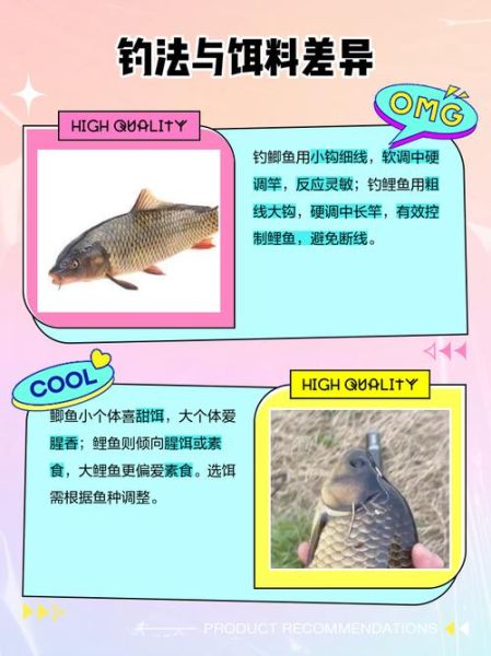 鲫鱼和鲤鱼的区别图片_如何一眼分辨-第2张图片-山城妙识 鲫鱼和鲤鱼的区别图片_如何一眼分辨-第2张图片-山城妙识