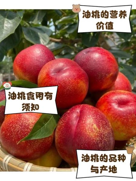 黄油桃的营养价值及功效_孕妇能吃吗-第1张图片-山城妙识 黄油桃的营养价值及功效_孕妇能吃吗-第1张图片-山城妙识