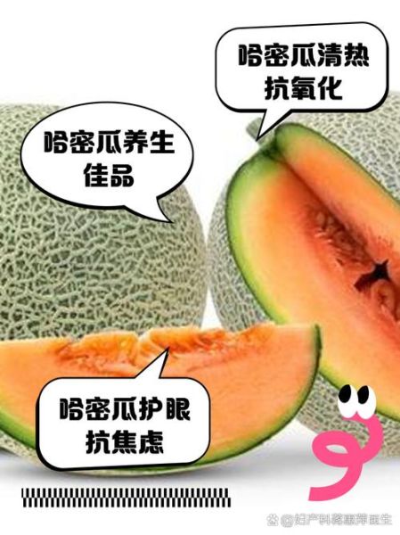 吃哈密瓜会上火吗_哈密瓜的功效与作用-第2张图片-山城妙识