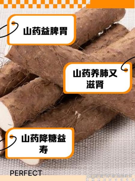 铁棍山药的功效与禁忌_什么人不能吃-第2张图片-山城妙识