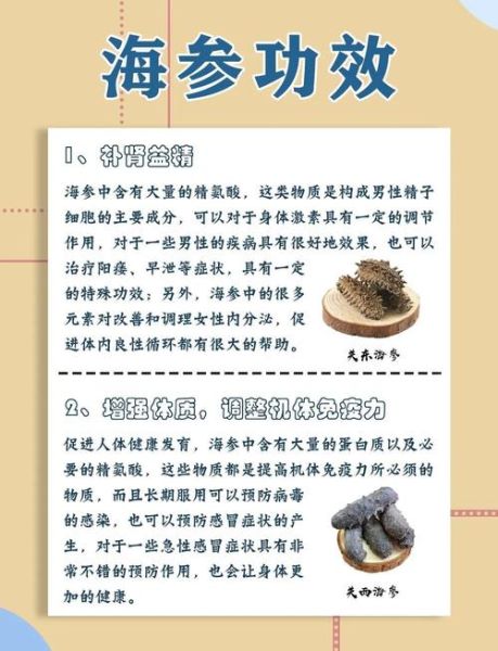 海参的营养价值有哪些_海参的功效与作用-第2张图片-山城妙识 海参的营养价值有哪些_海参的功效与作用-第2张图片-山城妙识