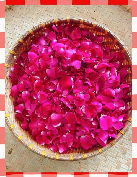 玫瑰酵素的功效与作用_玫瑰酵素可以天天喝吗-第2张图片-山城妙识