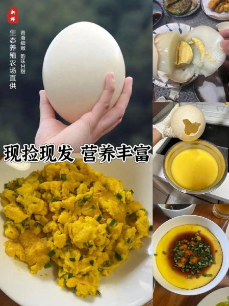 鸵鸟蛋有多大_鸵鸟蛋重量多少斤-第1张图片-山城妙识 鸵鸟蛋有多大_鸵鸟蛋重量多少斤-第1张图片-山城妙识