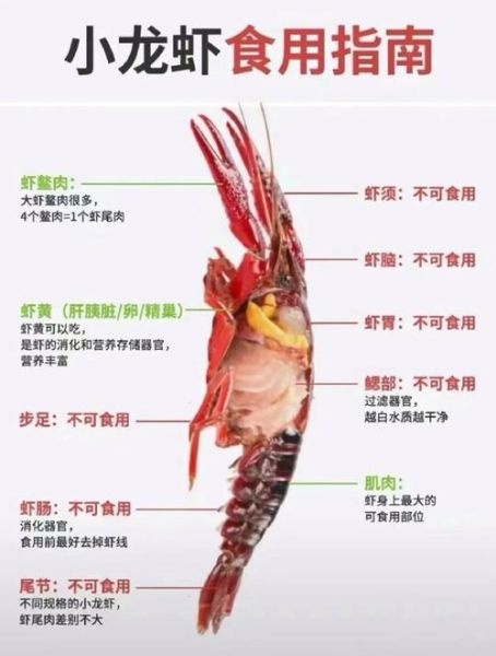 小龙虾怎么吃_小龙虾剥皮技巧-第2张图片-山城妙识