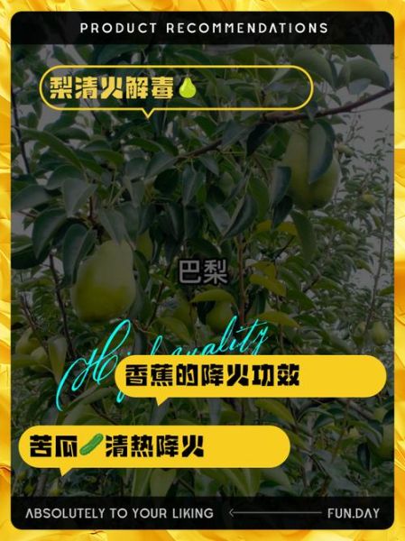 败火的食物有哪些_哪些食物降火最快-第2张图片-山城妙识 败火的食物有哪些_哪些食物降火最快-第2张图片-山城妙识