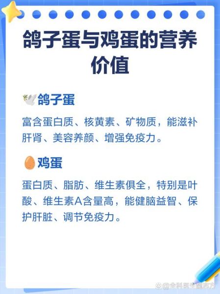 鸽子蛋和鸡蛋哪个更营养_孕妇吃鸽子蛋好还是鸡蛋好-第1张图片-山城妙识 鸽子蛋和鸡蛋哪个更营养_孕妇吃鸽子蛋好还是鸡蛋好-第1张图片-山城妙识