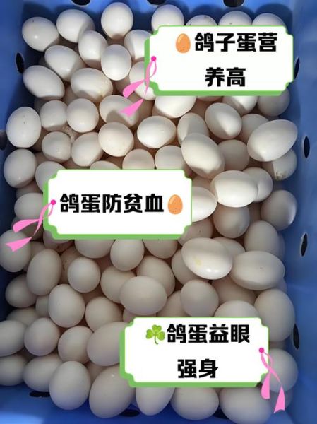 鸽子蛋和鸡蛋哪个更营养_孕妇吃鸽子蛋好还是鸡蛋好-第2张图片-山城妙识 鸽子蛋和鸡蛋哪个更营养_孕妇吃鸽子蛋好还是鸡蛋好-第2张图片-山城妙识