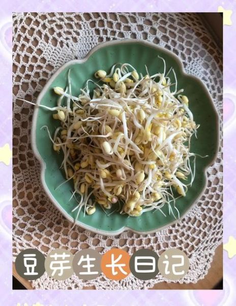 生豆芽的方法_生豆芽的窍门-第3张图片-山城妙识