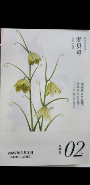 蓬蒿的读音是什么_蓬蒿怎么读拼音-第2张图片-山城妙识 蓬蒿的读音是什么_蓬蒿怎么读拼音-第2张图片-山城妙识