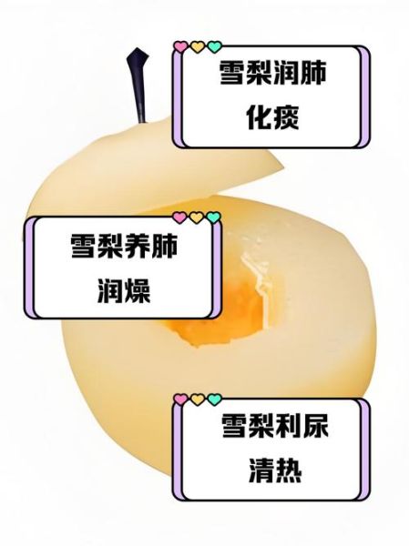 雪梨的功效与作用_雪梨的禁忌有哪些-第1张图片-山城妙识 雪梨的功效与作用_雪梨的禁忌有哪些-第1张图片-山城妙识