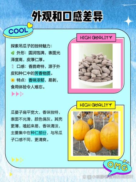 瓜蒌子和吊瓜子一样吗_哪个更好吃-第1张图片-山城妙识